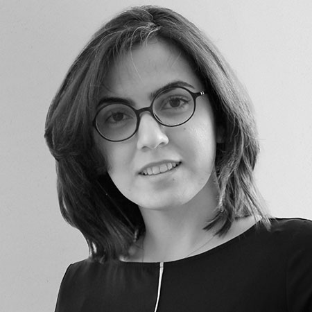 Seyedehnastaran (Nastaran) Hashemi | People | UNLV