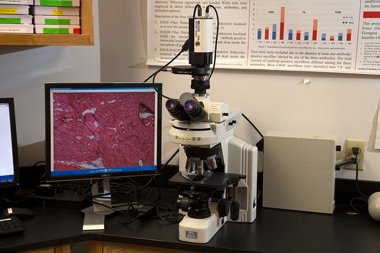 Applied Biomedical Research Laboratory | School of Nursing | University ...