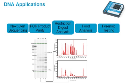 DNA Applications | Genomics | University of Nevada, Las Vegas
