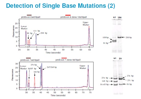 DNA Applications | Genomics | University of Nevada, Las Vegas