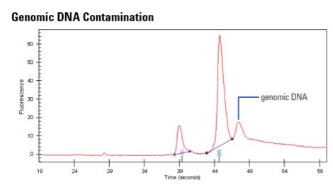 RNA Applications | Genomics | UNLV