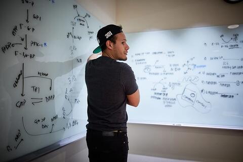 STEAM Education at UNLV | Office of the President | University of ...