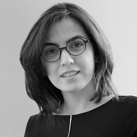 Seyedehnastaran (Nastaran) Hashemi | People | UNLV