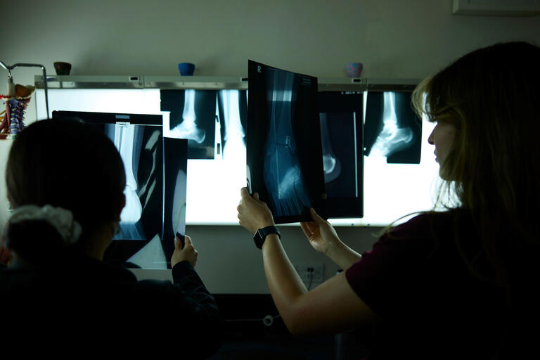 UNLV Physical Therapy Program Enhances Diagnostic Testing and Imaging