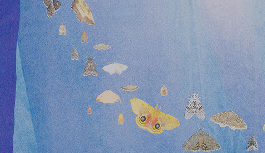 Art Exhibition: Moth Ball | Calendar | UNLV